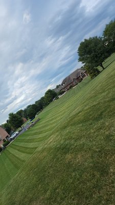 DIEM BROTHERS LANDSCAPING - Updated July 2024 - Request a Quote - 12 ...