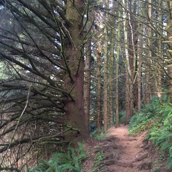 NEAHKAHNIE MOUNTAIN - Updated May 2025 - 41 Photos & 17 Reviews - 9500 ...