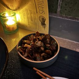 THE NAUTILUS - Updated April 2026 - 160 Photos & 190 Reviews - 12 ...