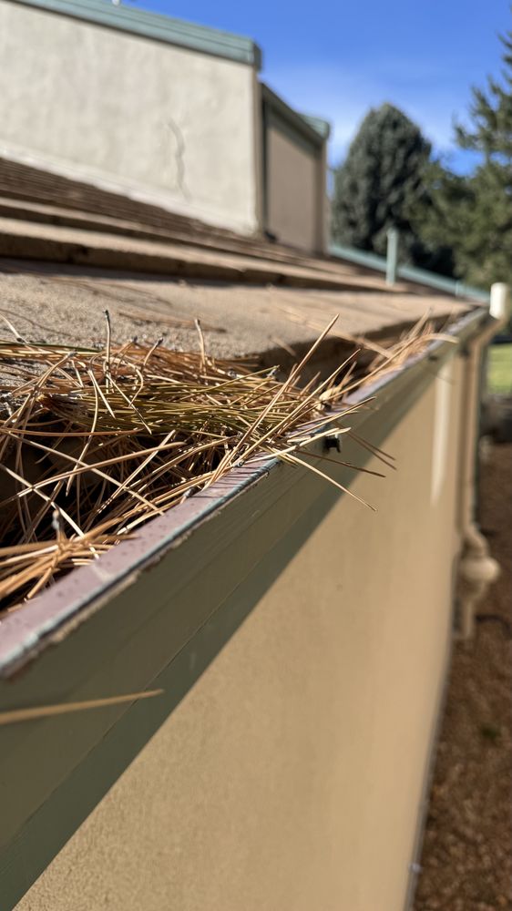 DENVER GUTTER CLEANING - Updated April 2026 - 64 Photos & 131 Reviews ...