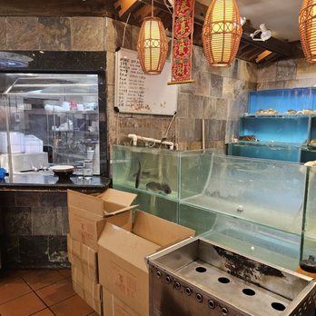 SAIGON SEAFOOD HARBOR RESTAURANT - Updated December 2024 - 2833 Photos ...