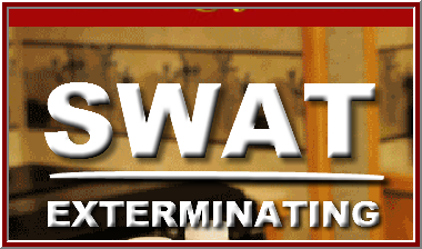 SWAT EXTERMINATING - Updated December 2025 - 14 Reviews - 2321 State Rd ...