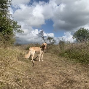 GOVERNMENT CANYON STATE NATURAL AREA - 349 Photos & 79 Reviews - Hiking ...