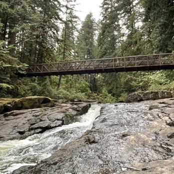 LACAMAS CREEK TRAIL - Updated July 2025 - 103 Photos & 29 Reviews - 200 ...