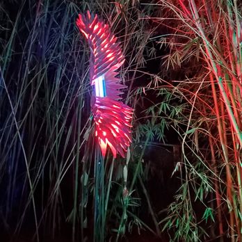 LIGHTSCAPE SAN DIEGO - Updated November 2024 - 189 Photos & 38 Reviews ...