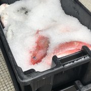 NEW DEAL FISH MARKET - 50 Photos & 198 Reviews - 622 Cambridge St ...