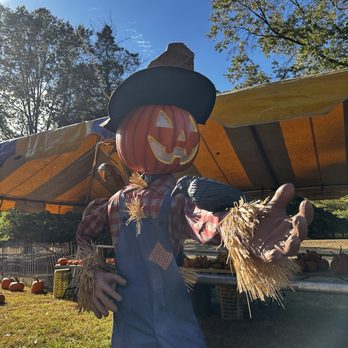 PINE CREEK MINIATURE GOLF - Updated December 2025 - 54 Photos & 64 ...