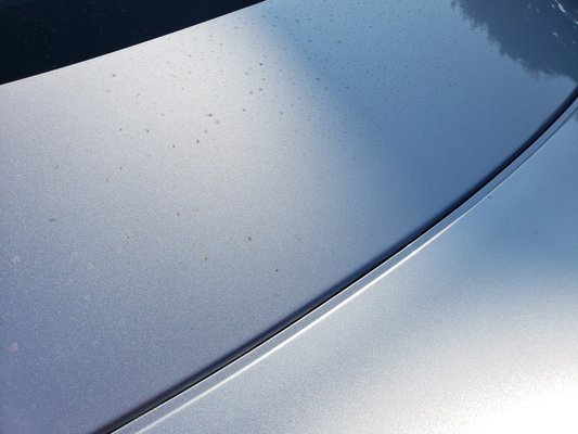 JIM SHORKEY TOYOTA - Updated September 2025 - 25 Photos & 135 Reviews ...