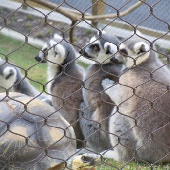 BRANDYWINE ZOO - Updated April 2025 - 147 Photos & 65 Reviews - 1001 N ...