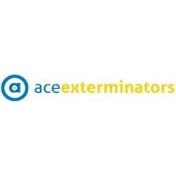 ACE EXTERMINATORS - Updated July 2025 - 35 Bill Taylor Rd, Romney, West ...