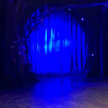 THEATER WIT - Updated August 2025 - 27 Photos & 55 Reviews - 1229 W ...