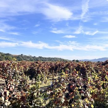 WILLIAMSON WINES YOAKIM BRIDGE ESTATE - Updated April 2025 - 57 Photos ...