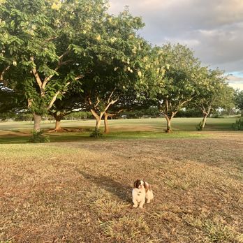 PATSY T. MINK CENTRAL OAHU REGIONAL PARK - Updated October 2025 - 704 ...