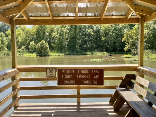 BLEDSOE CREEK STATE PARK - Updated December 2025 - 81 Photos & 28 ...