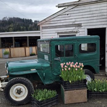 KNUTSON FARMS - Updated June 2025 - 137 Photos & 40 Reviews - 16406 ...