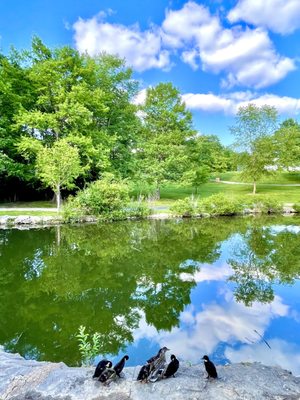 NEW BALLWIN PARK - Updated December 2025 - 20 Photos - 329 New Ballwin ...