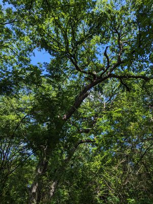 DAYSPRING NATURE PRESERVE - Updated October 2025 - 45 Photos - 900 ...