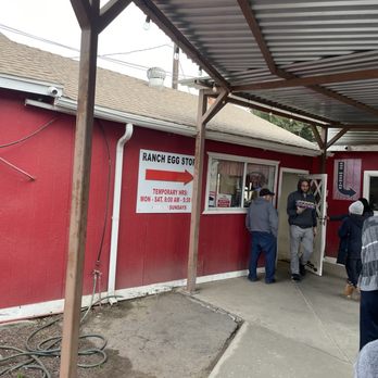 MAUST’S CALIFORNIA POULTRY - Updated December 2025 - 256 Photos & 137 ...