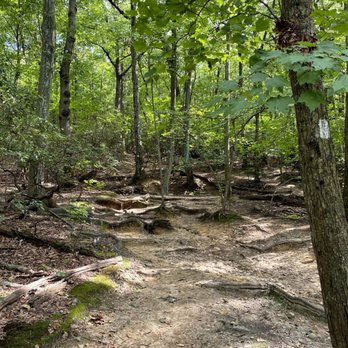 COLD SPRING HARBOR STATE PARK - Updated December 2025 - 263 Photos & 69 ...