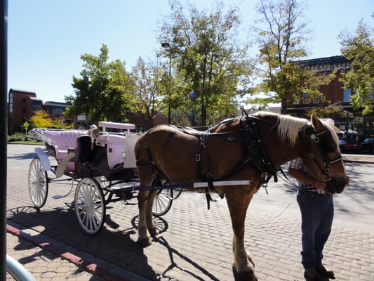 COLORADO CARRIAGE AND WAGON - Updated August 2025 - 15 Reviews - Fort ...