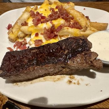 OUTBACK STEAKHOUSE - Updated December 2025 - 859 Photos & 622 Reviews ...