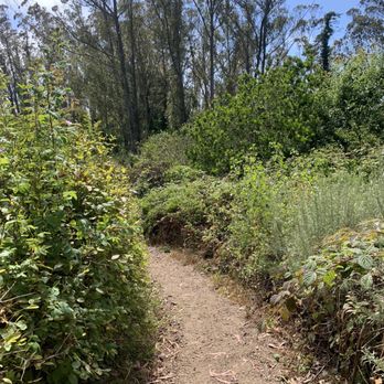 MOUNT SUTRO - Updated October 2025 - 426 Photos & 114 Reviews - Medical ...