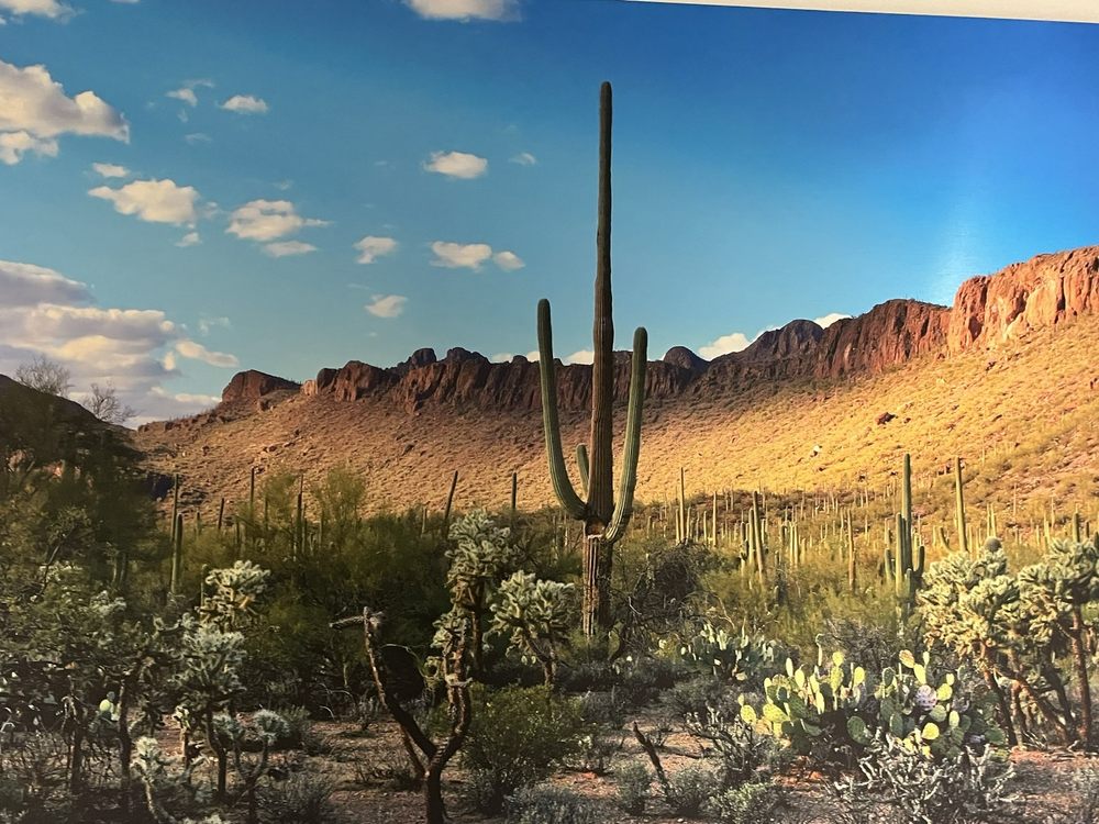 ORTHOARIZONA - Updated May 2024 - 13 Photos & 34 Reviews - 8405 N Pima ...