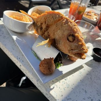 OP FISH HOUSE & OYSTER BAR - Updated April 2025 - 868 Photos & 655 ...