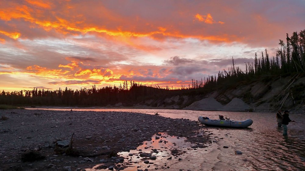 SALMON GROVE CAMPGROUND & CHARTERS - Updated February 2026 - 31 Photos ...