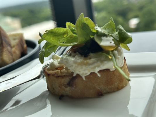 10TH & TERRACE - 93 Photos & 51 Reviews - 616 South Salisbury St ...