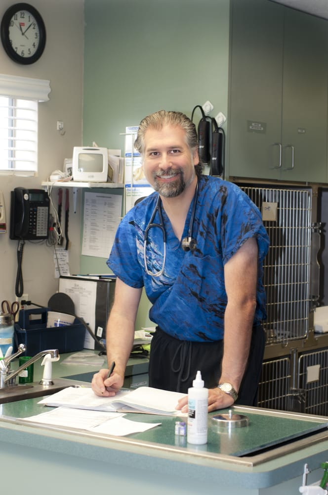 BLUE CROSS VETERINARY HOSPITAL - Updated December 2025 - 181 Photos ...