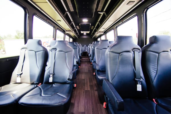 SAMSON TOURS - Updated December 2025 - 13 Photos & 16 Reviews - 3745 ...