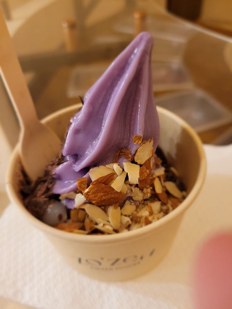 ZO’ZEN YOGURT BAR - Updated August 2025 - Calle 38 Nte y Calle ...