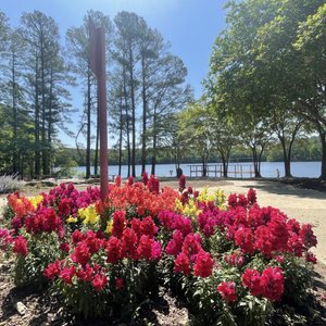 LAKE JOHNSON PARK - 264 Photos & 134 Reviews - Parks - 4601 Avent Ferry ...