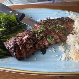 MAZZA MEDITERRANEAN CUISINE - 530 Photos & 544 Reviews - 15749 Pines ...