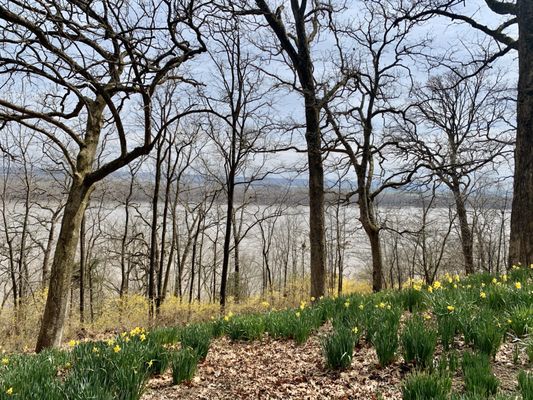 BEE TREE PARK - Updated October 2025 - 54 Photos & 17 Reviews - 2701 ...