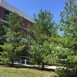 McMaster-Carr Reviews | Read Customer Service Reviews of mcmaster.com