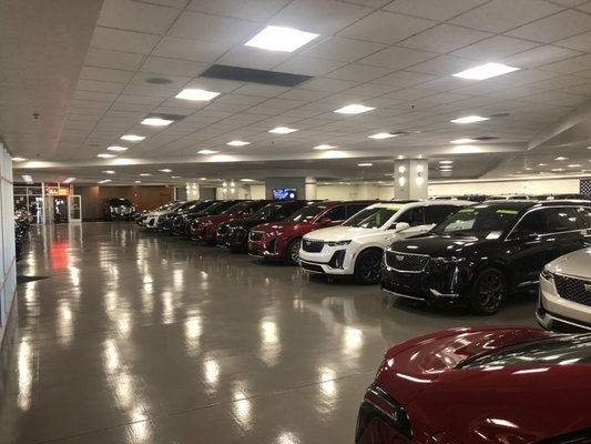 FINDLAY CADILLAC - Updated June 2024 - 76 Photos & 245 Reviews - 993 ...