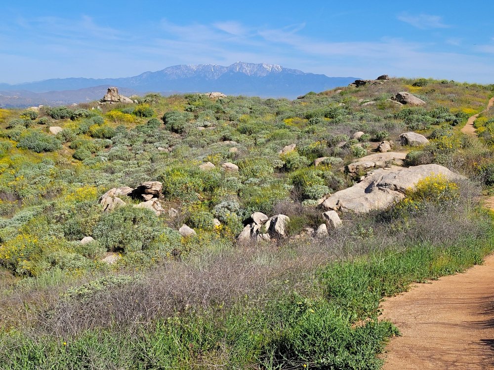 SYCAMORE CANYON WILDERNESS PARK - Updated December 2025 - 325 Photos ...