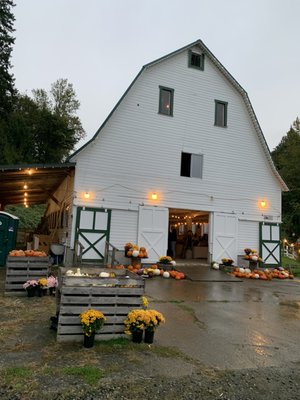 NOVELTY HILL FARM - Updated October 2025 - 46 Photos & 11 Reviews ...