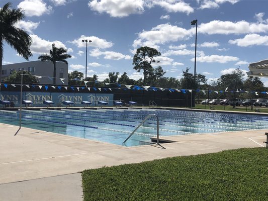 LYNN UNIVERSITY - Updated October 2024 - 42 Photos & 19 Reviews - 3601 ...