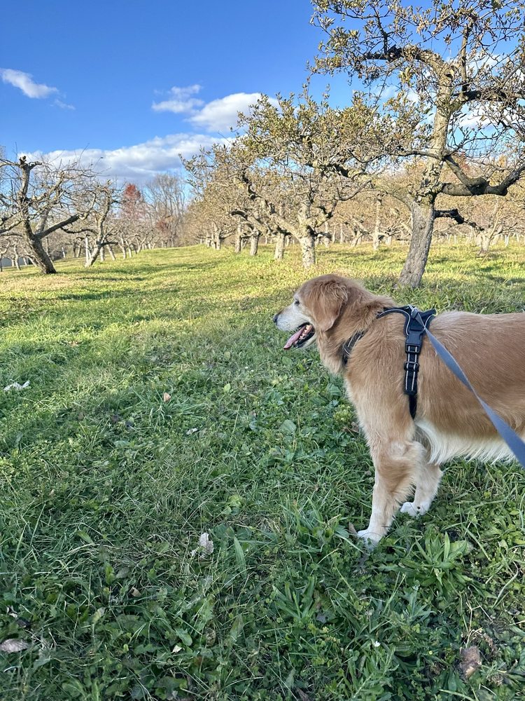 OBSTBAUM ORCHARDS - Updated September 2025 - 83 Photos & 31 Reviews ...