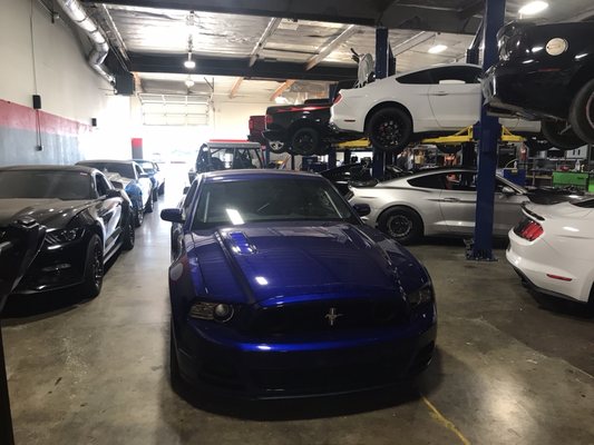 ADDICTION MOTORSPORTS - Updated December 2025 - 11 Photos & 21 Reviews ...