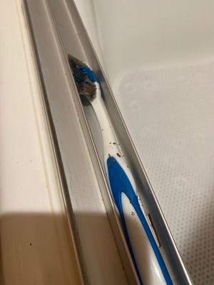 PATH - PEOPLE ASSISTING THE HOMELESS - 207 Photos & 21 Reviews - 340 N ...