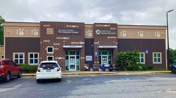 DEKALB COUNTY ANIMAL SERVICES - Updated July 2025 - 27 Photos & 56 ...