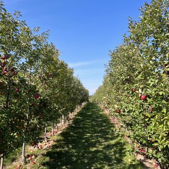 PECK AND BUSHEL FRUIT COMPANY - Updated June 2026 - 86 Photos & 28 ...