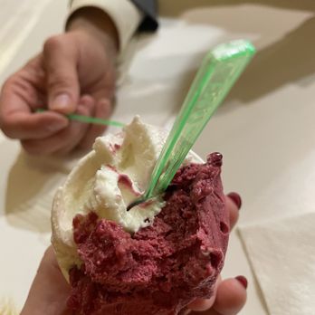 DOLCETTI GELATO - Updated March 2025 - 439 Photos & 418 Reviews - 902 E ...