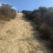 PACIFIC RIDGE TRAILHEAD - 111 Photos & 38 Reviews - Ridge Park Rd ...