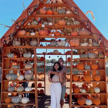 CAL POLY POMONA PUMPKIN FESTIVAL - Updated August 2025 - 640 Photos ...