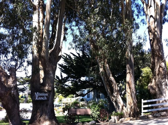 MISSION RANCH TENNIS CLUB - Updated December 2025 - 26270 Dolores St ...